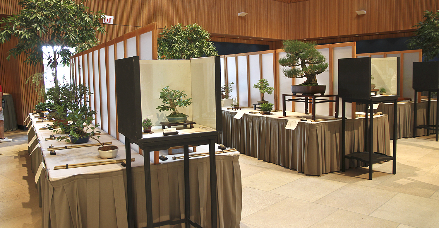 MIDWEST BONSAI SHOW– Final Part – Valavanis Bonsai Blog
