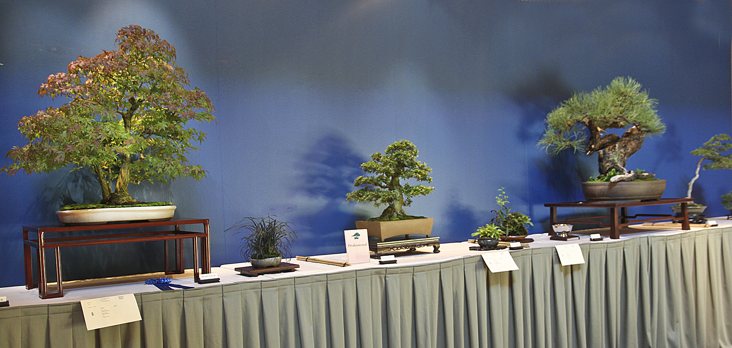 MIDWEST BONSAI SHOW– Final Part – Valavanis Bonsai Blog