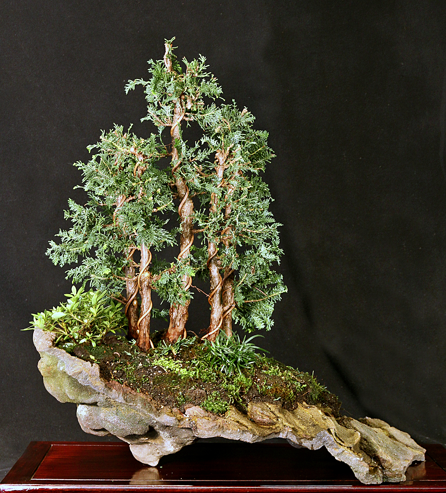 2013 AUTUMN OPEN HOUSE– Part 2 – Valavanis Bonsai Blog