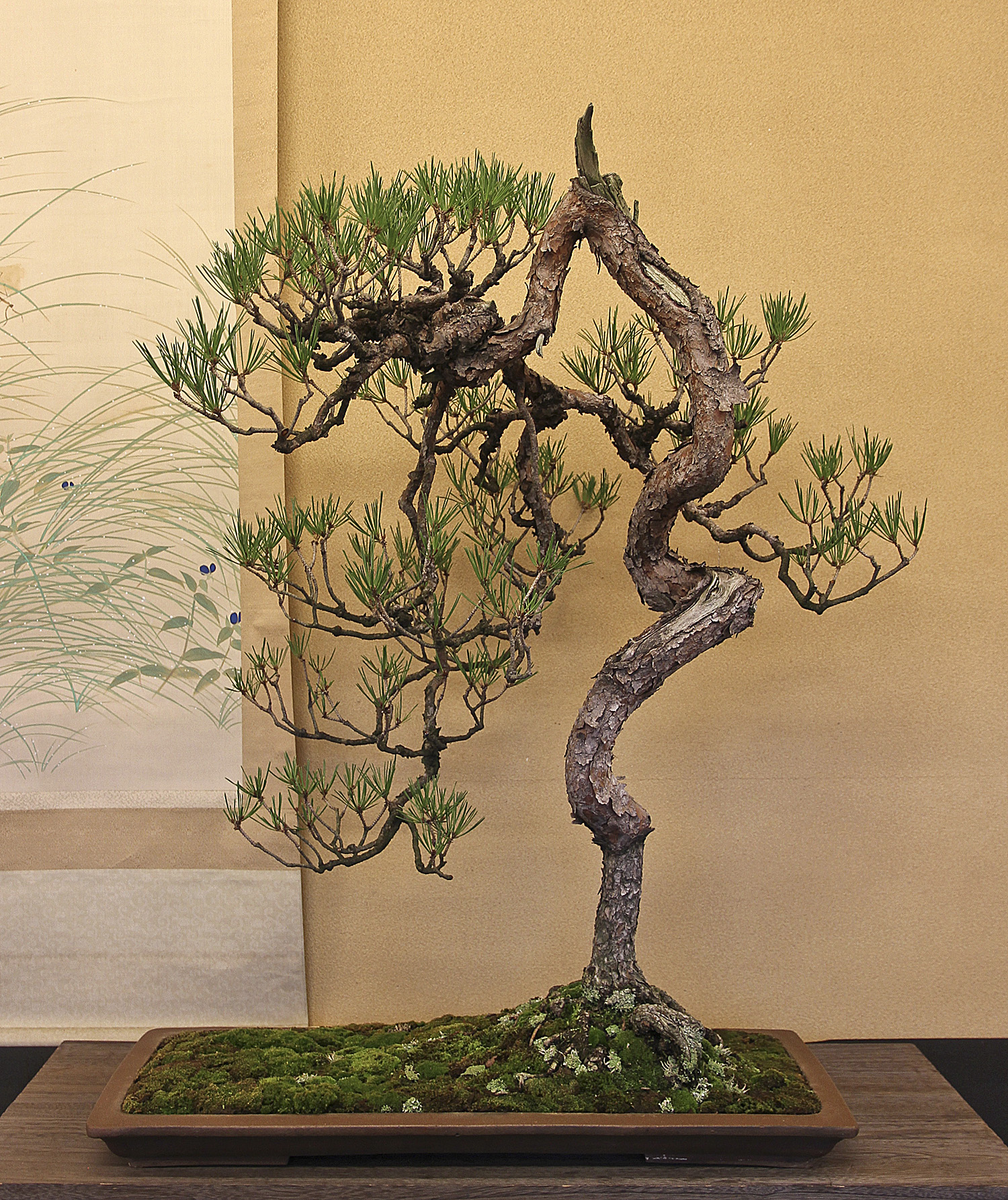 Japan International Bonsai Tour Exploration– Autumn 2013, Part 1 ...