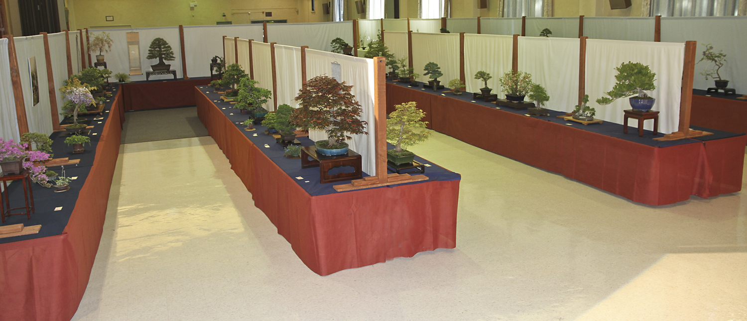 41st UPSTATE NEW YORK BONSAI EXHIBITION PHOTOS – Valavanis Bonsai Blog