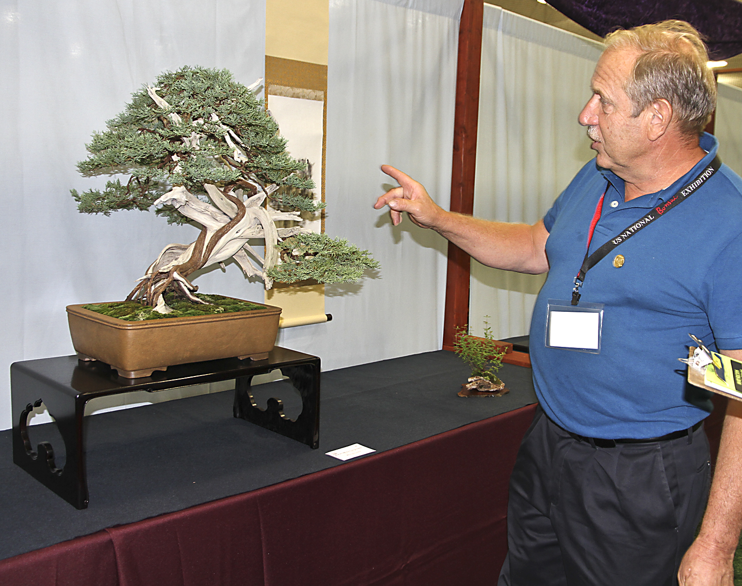 4th US National Bonsai Exhibition Report – Valavanis Bonsai Blog