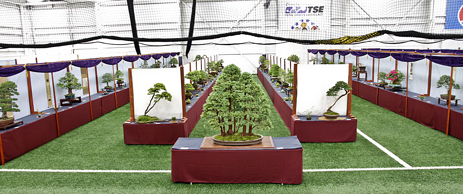 4th US National Bonsai Exhibition Report – Valavanis Bonsai Blog