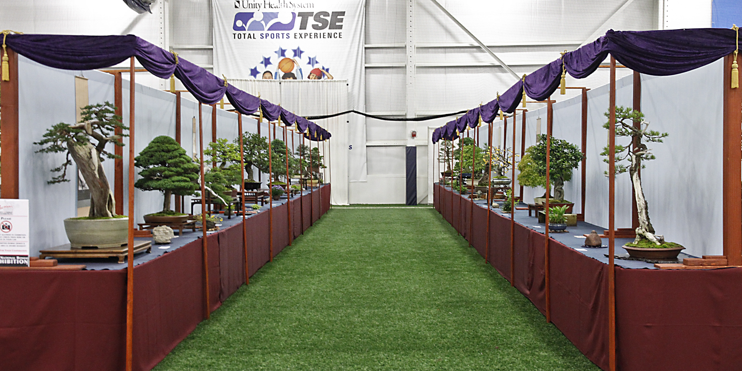 4th US National Bonsai Exhibition Report – Valavanis Bonsai Blog