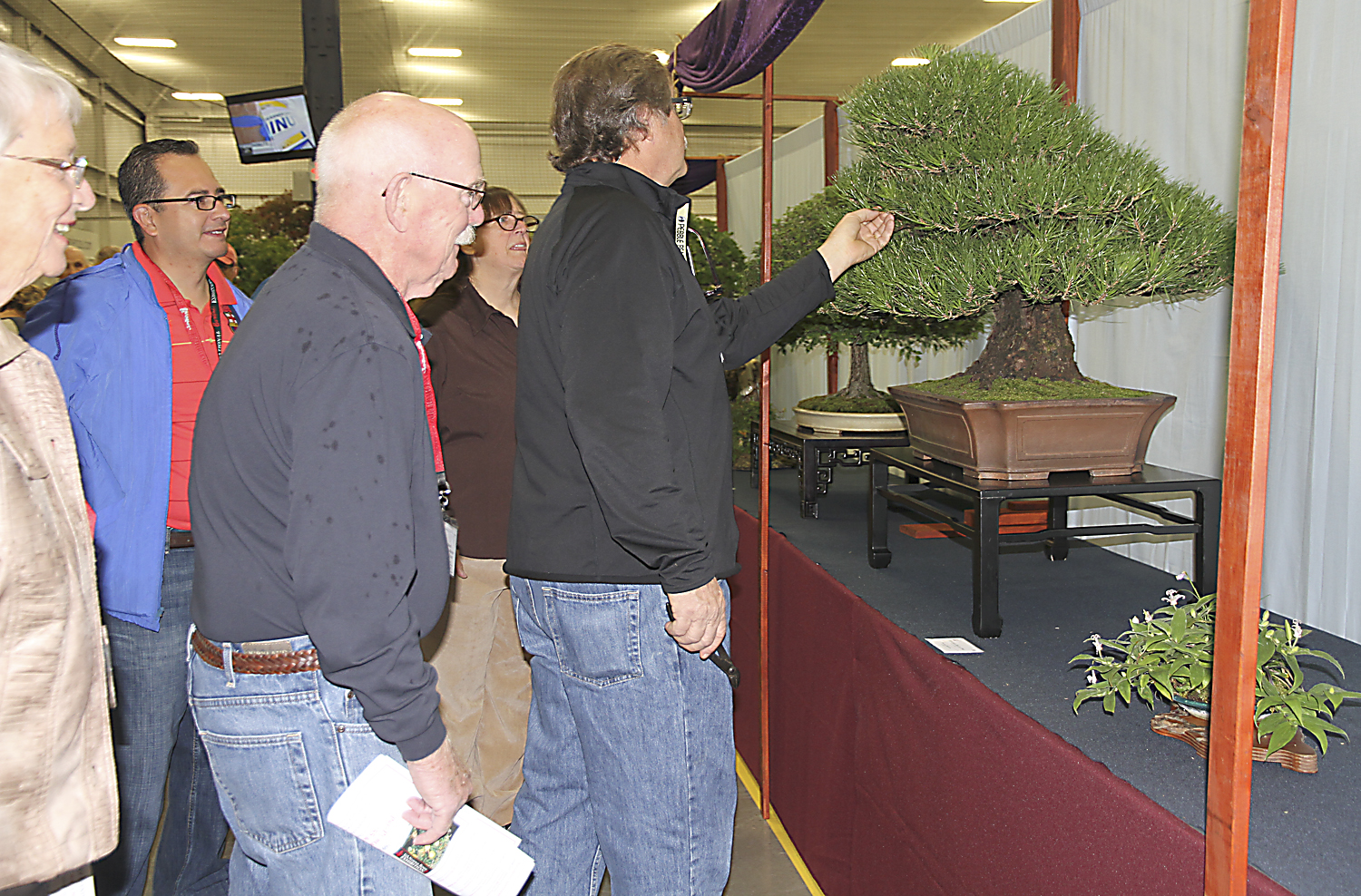 4th US National Bonsai Exhibition Report – Valavanis Bonsai Blog