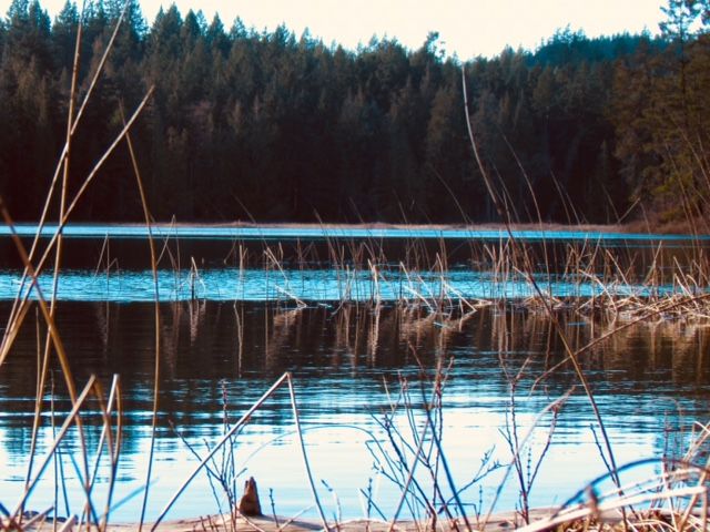 Photo Submissions – Van Anda Improvement District