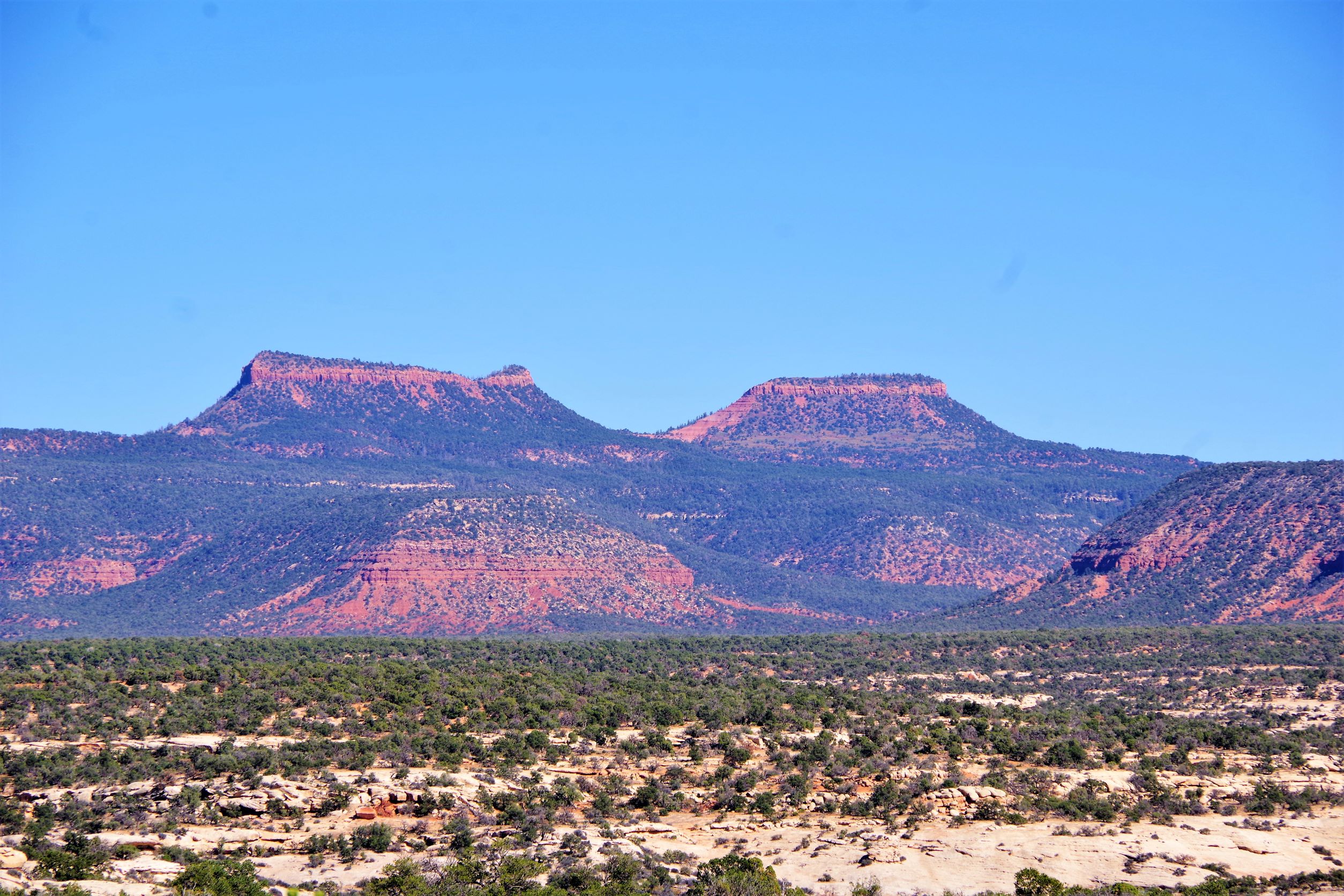 Bears Ears National Monument - Van Delicious