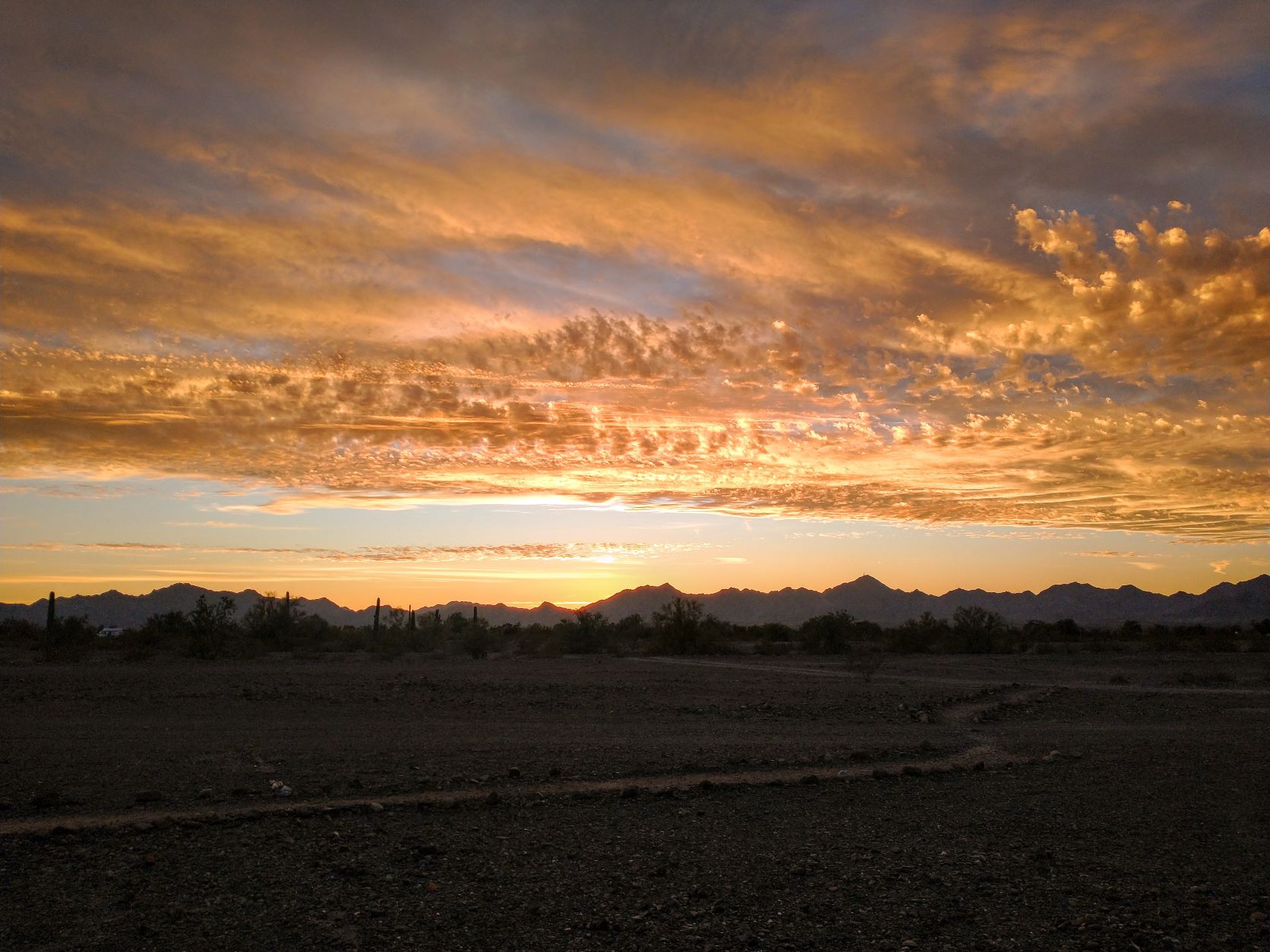 Wintering at Quartzsite - Van Delicious