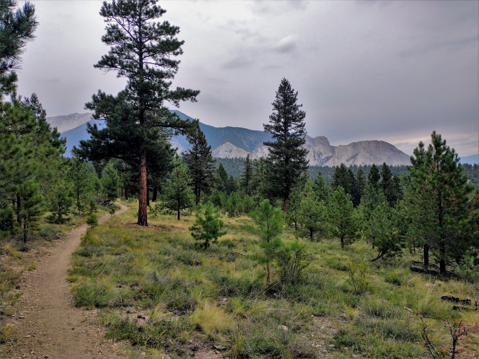 Hiking the Collegiate Loop ~ Part One - Van Delicious