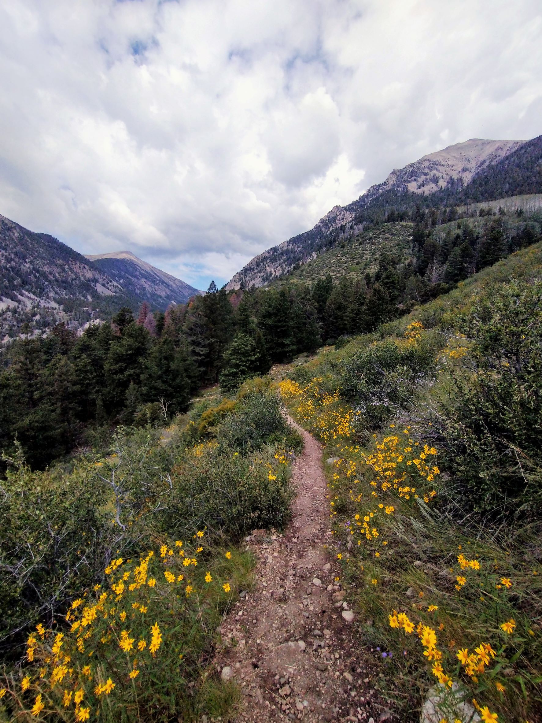 Hiking the Collegiate Loop ~ Part One - Van Delicious