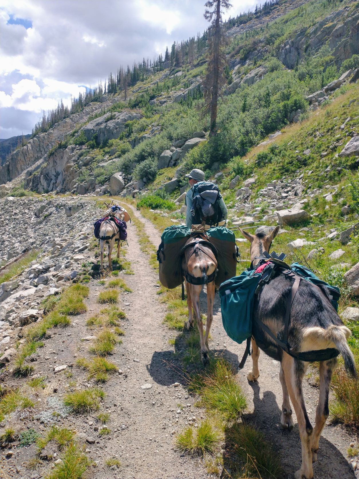 Hiking the Collegiate Loop ~ Part Two - Van Delicious