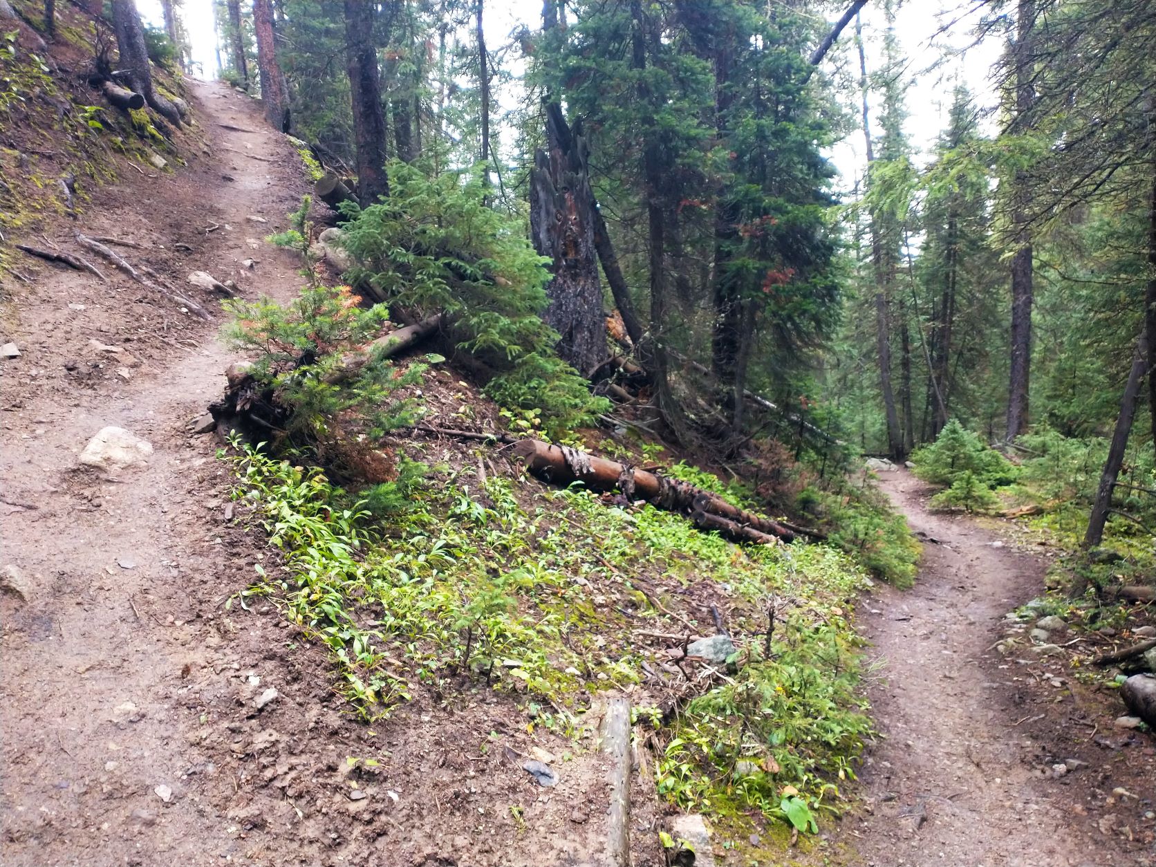 Hiking the Collegiate Loop ~ Part One - Van Delicious