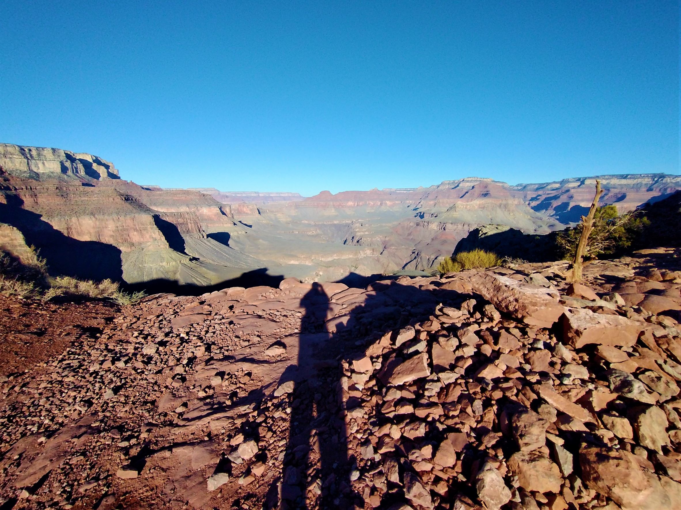 Rim to Rim to Rim - Van Delicious