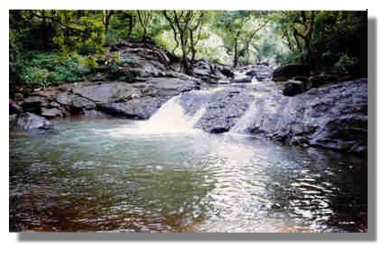 Picnic Spots Of Vasai « Vasai Info