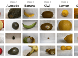 Fruit Classification Using A Convolutional Neural Network