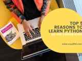 Top 5 Reasons To Learn Python In 2022 Vault50