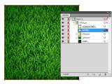 How To Create Vector Grass Background In Adobe Illustrator