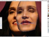 Adobe Illustrator Vectorize Image At Vectorified Collection Of