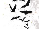 Bat Signal Vector At Vectorified Collection Of Bat Signal Vector