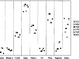 Decision Tree Vector At Vectorified Collection Of Decision Tree