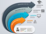 Flow Chart Vector At Vectorified Collection Of Flow Chart Vector