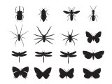Insect Vector At Vectorified Collection Of Insect Vector Free For