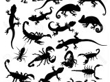 Lizard Vector At Vectorified Collection Of Lizard Vector Free For