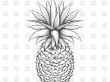Pineapple Drawing Vector At Vectorified Collection Of Pineapple