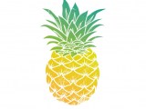 Pineapple Vector At Vectorified Collection Of Pineapple Vector