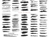 Vector Brushes Illustrator At Vectorified Collection Of Vector