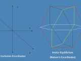 Vector Equilibrium At Vectorified Collection Of Vector