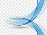 Vector Loops At Vectorified Collection Of Vector Loops Free For