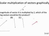 Vector Multiplication At Vectorified Collection Of Vector