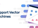 Vector Optimization At Vectorified Collection Of Vector