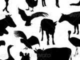 Vector Pack At Vectorified Collection Of Vector Pack Free For