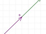 Vector Practice Worksheet At Vectorified Collection Of Vector