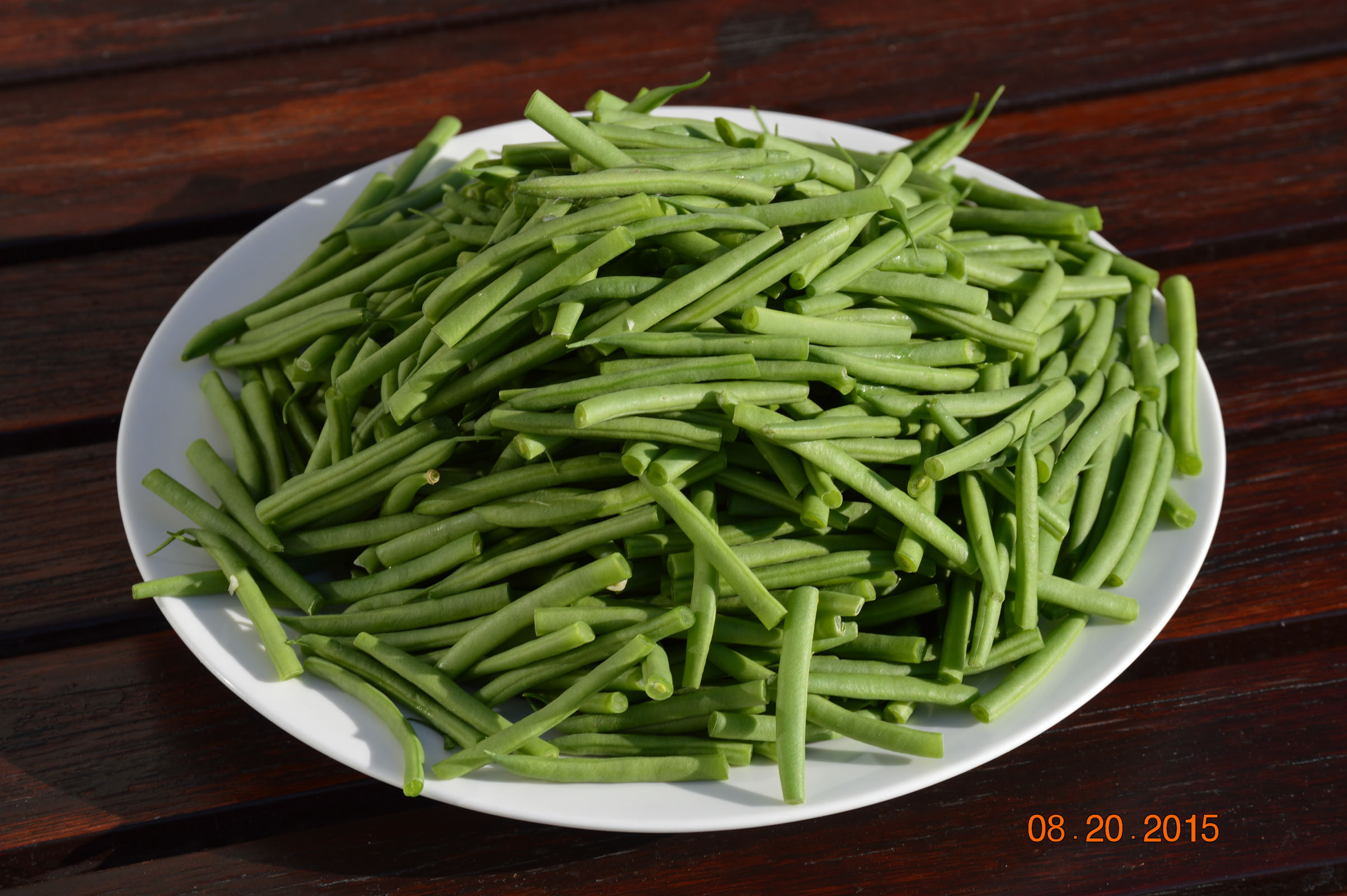 Moroccan Style Green Beans - Vegetating with Leslie