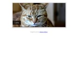 12 Best Free Css Slideshows In 2025 Ventasoftware
