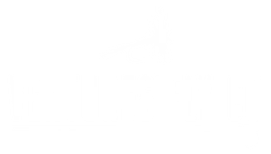 Ventures Fly Co