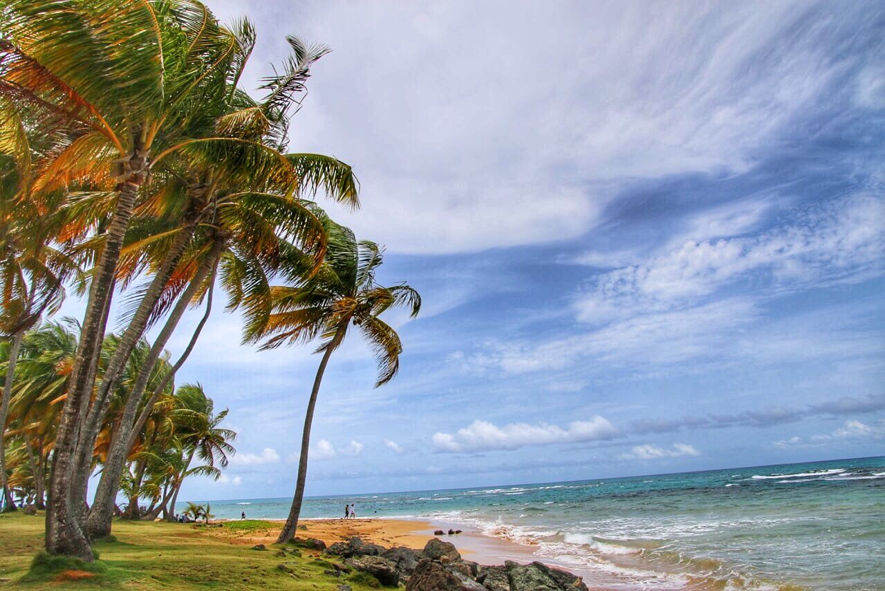 Puerto Rico: East Coast Beaches & The Bio Bay | Venture Wild