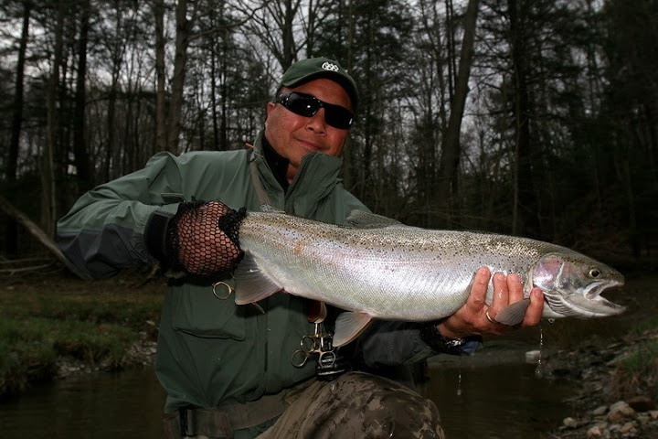 Destination Ohio: Fly Fishing for Enormous Steelhead and More with Mad ...