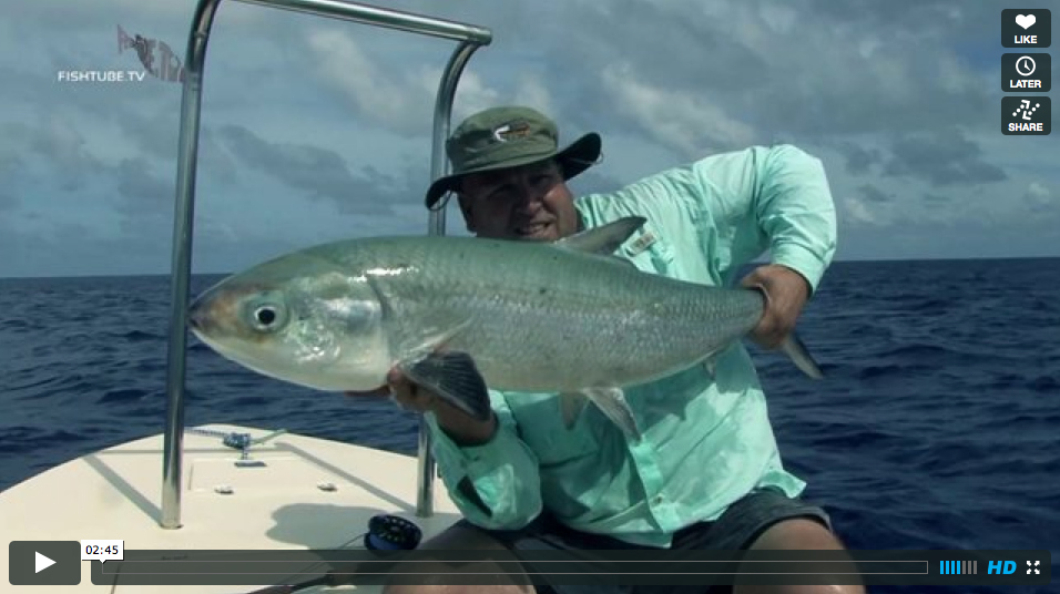 Video: Fly Fishing for Milkfish in the Seychelles – The Venturing Angler