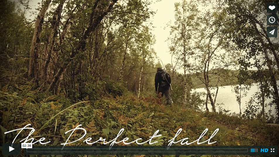 Video: Trout on Dry Flies with Fiberglass Rods in “The Perfect Fall ...