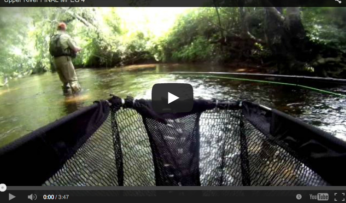 Video: Fly Fishing the Blue Ridge Mountains in Georgia – The Venturing ...