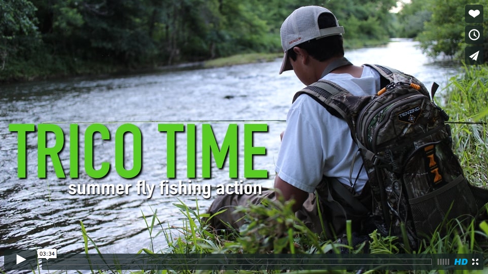 Video: Fly Fishing the Summer Trico Hatch – The Venturing Angler
