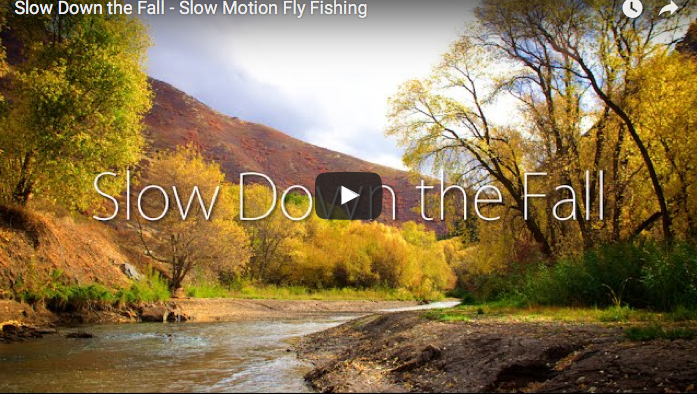Video: Beautiful Scenes of Fly Fishing in “Slow Down the Fall – Slow ...