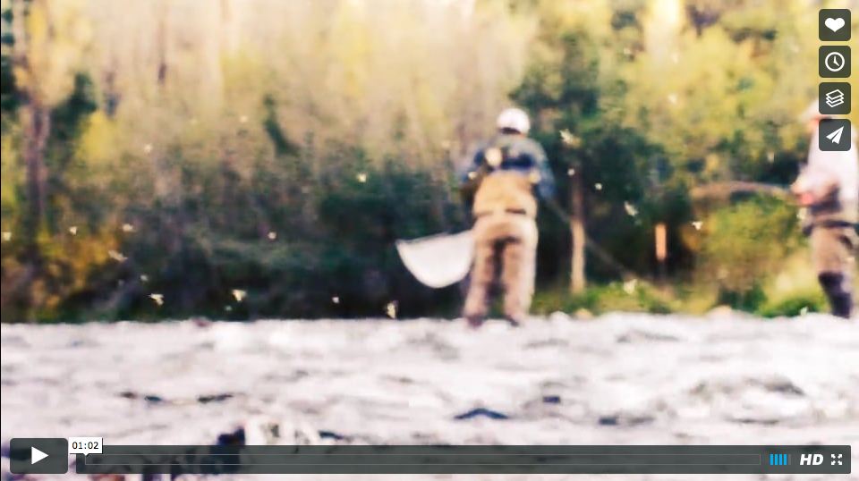 Video: Fly Fishing on Frying Pan River in Colorado – The Venturing Angler