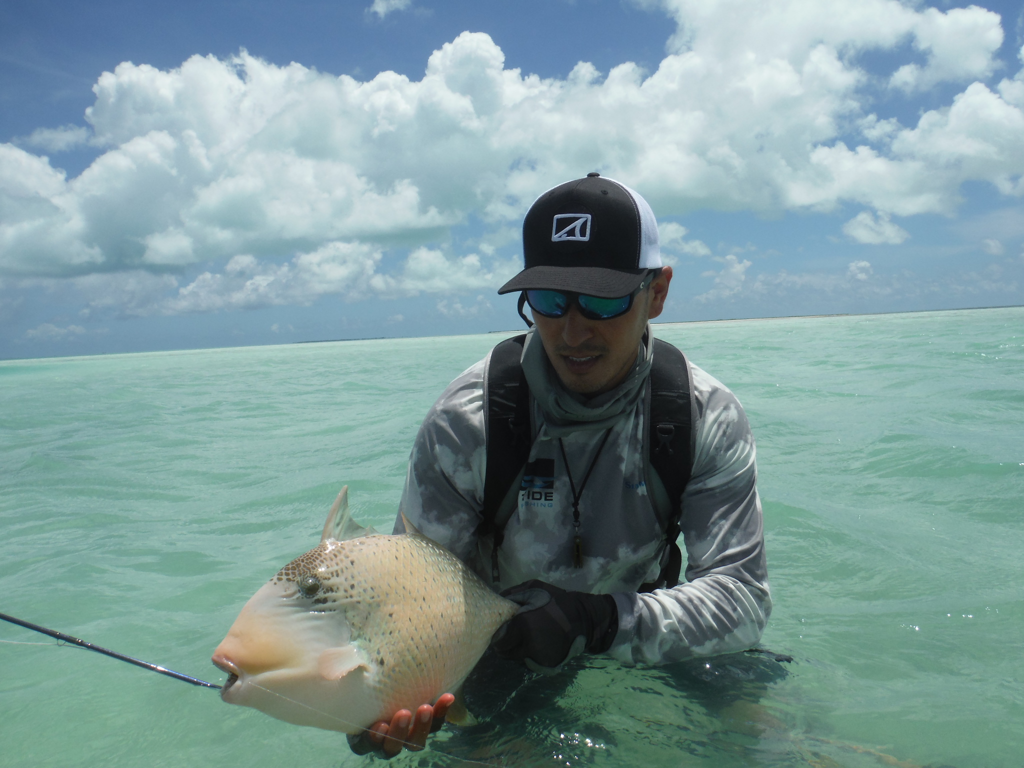 Fly Fishing Photo: Christmas Island Triggerfish on the Fly – The ...