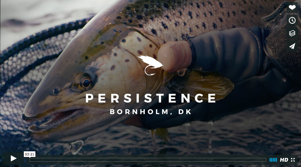 Video: Fly Fishing the Denmark Surf in “PERSISTENCE” – The Venturing Angler