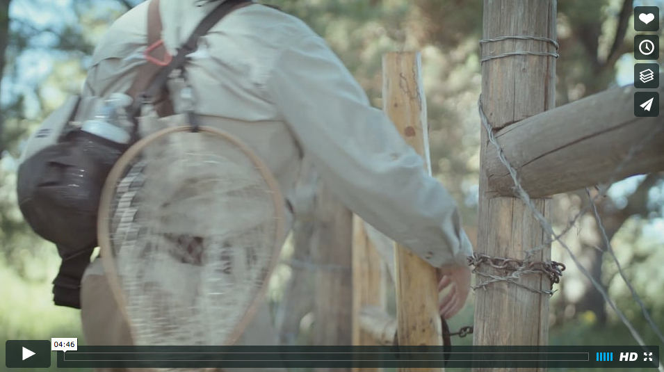 Video: Behind the Brand on the Henry’s Fork with Philip Chavez of RIO ...